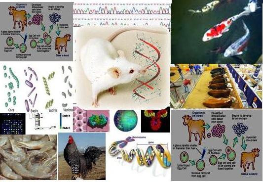 Official Website of Alagappa University - Karaikudi, Tamilnadu, India